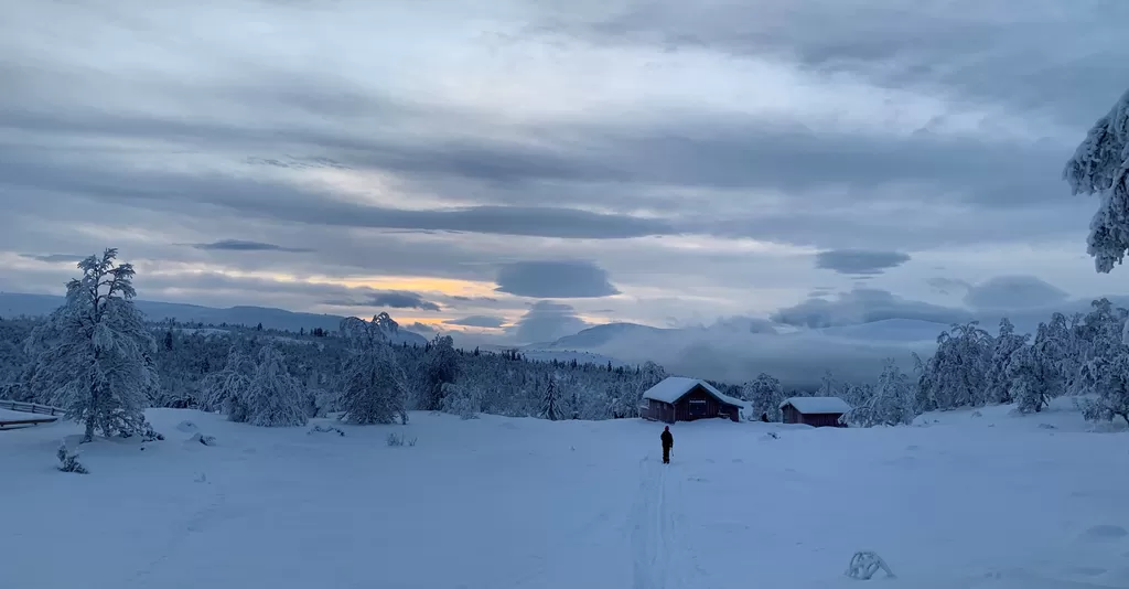 «Jeg ville rømme til hytta. Barna satte foten ned», skriver Anne ...